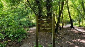HIDDEN GEM: THE RIVER WALK AT NANT MILL WATERFALL – Outdoors with Karolina