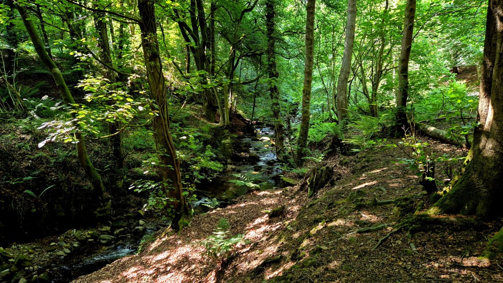HIDDEN GEM: THE RIVER WALK AT NANT MILL WATERFALL – Outdoors with Karolina
